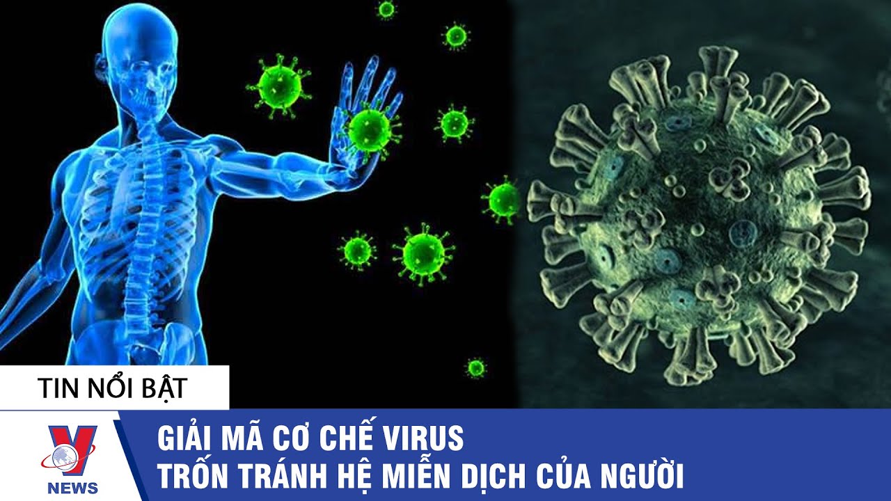Dịch COVID-19: Giải mã cơ chế virus trốn tránh hệ miễn dịch của người ...