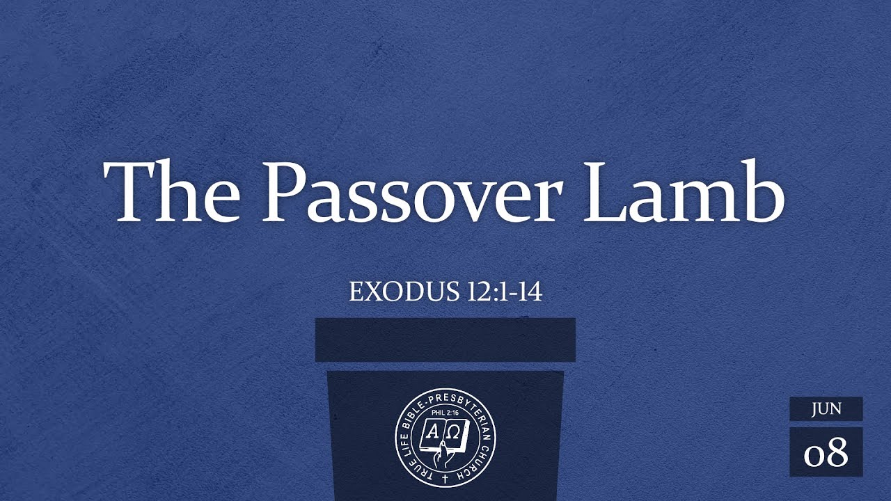 English Worship Service: The Passover Lamb (Exodus 12:1-14), Rev Dr ...