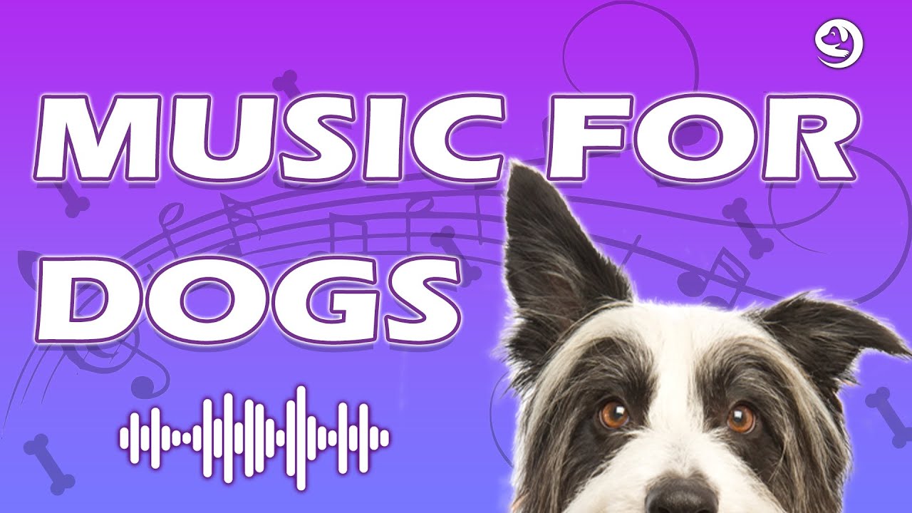 Music For Dogs - Relaxing Acoustic Music For Dogs - YouTube Music
