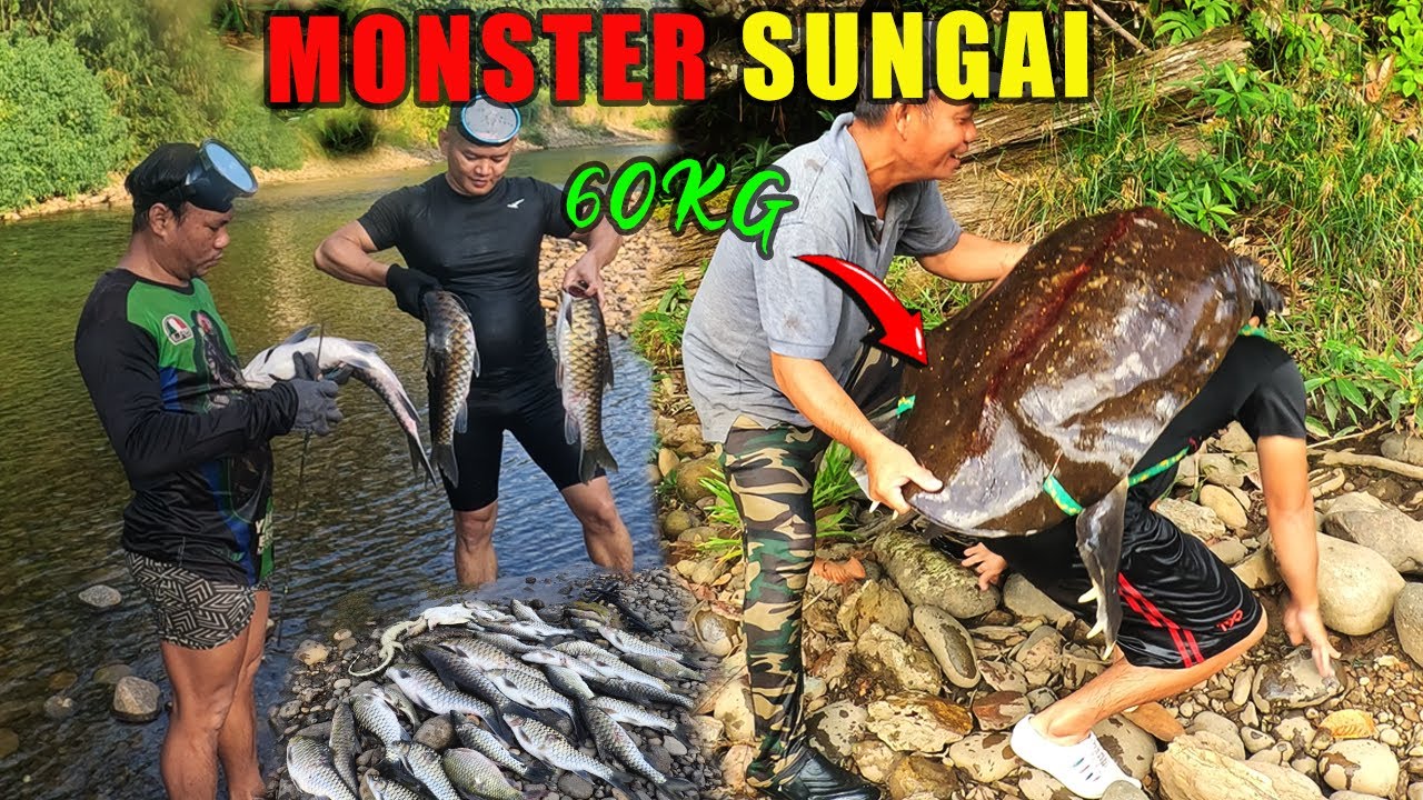 Monster labi-labi sungai batu - YouTube