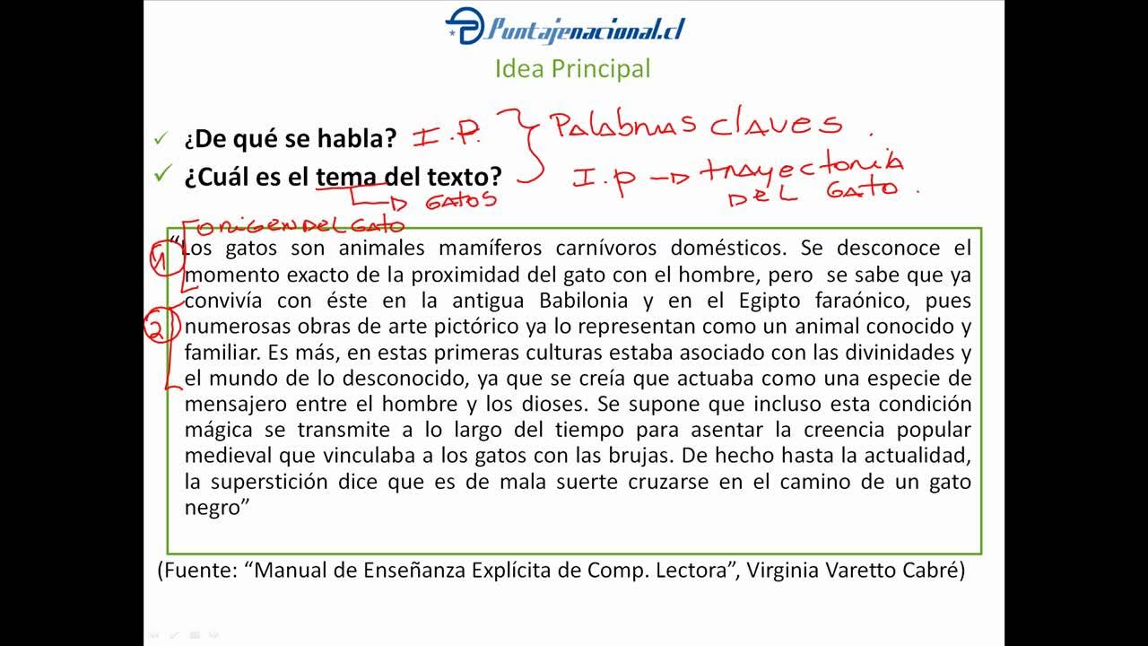 Taller estrategias de comprensión lectora - Lección 1 - YouTube