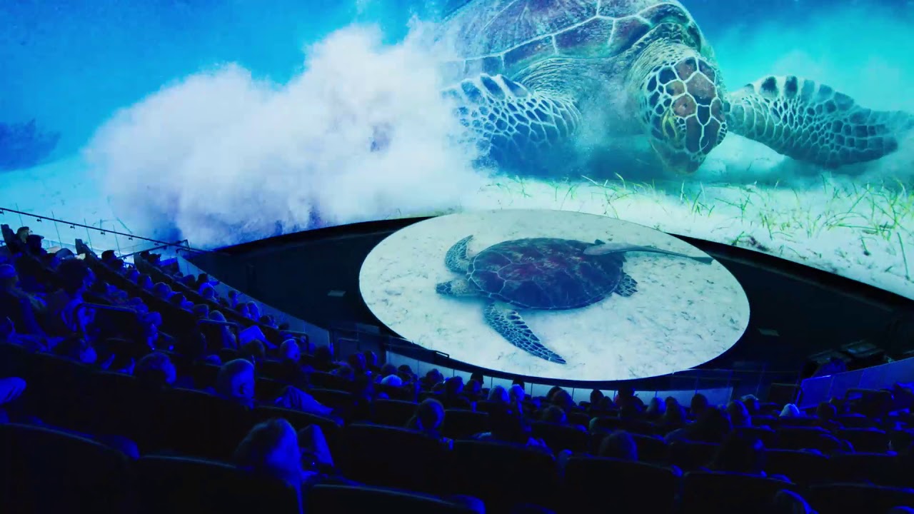 Pacific Visions Commercial 2019 - YouTube