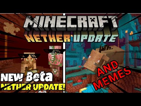 Minecraft 1.16 memes Compilation | Nether Update - YouTube