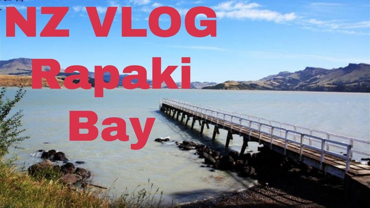 NZ Vlog Rapaki bay - YouTube