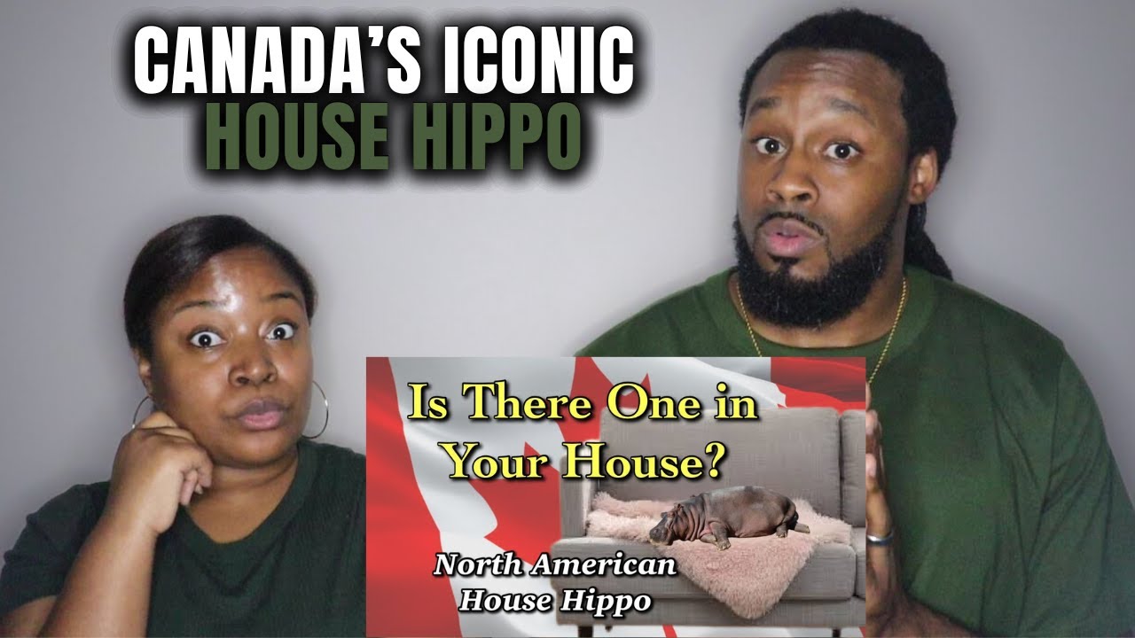 🇨🇦 American Couple Reacts to Canada’s Iconic House Hippo - YouTube