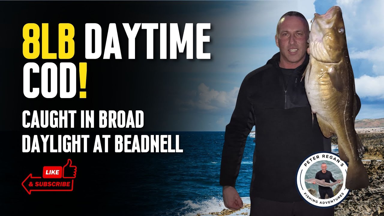HUGE 8lb Cod Caught in BROAD DAYLIGHT! (Beadnell Shore Fishing) - YouTube