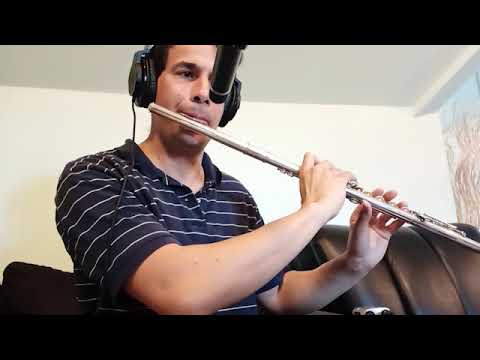 Reflection - Flute Cover - YouTube