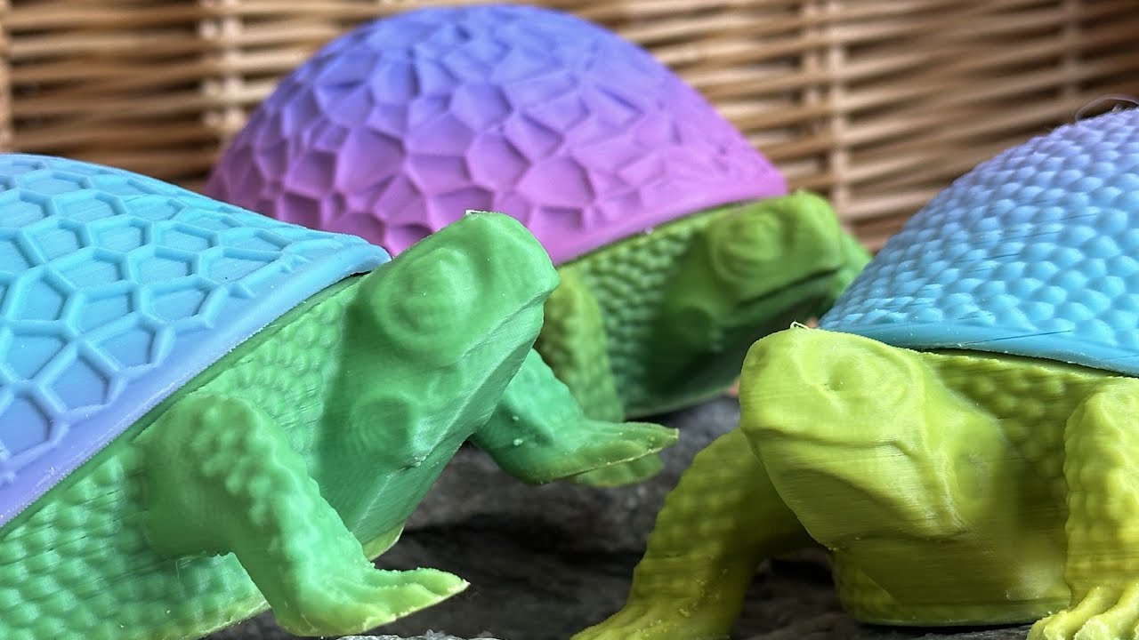 Box Turtle Boxes - YouTube