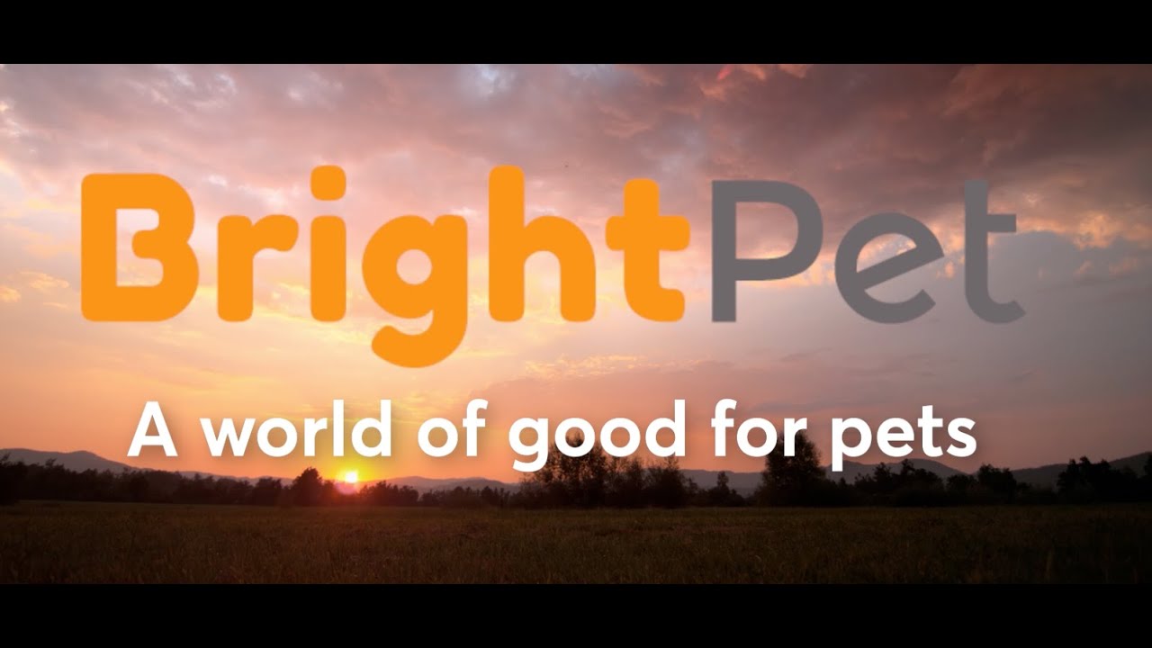 BrightPet Trade Show Video - YouTube