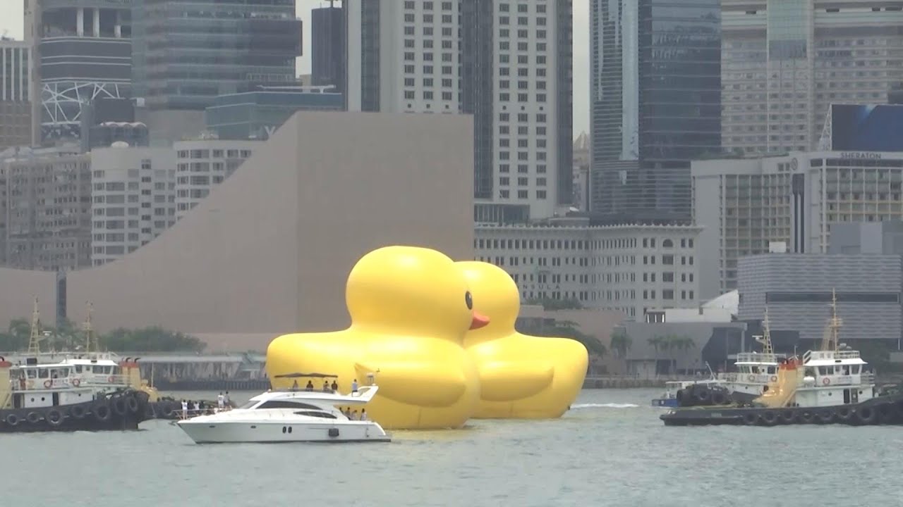 Giant inflatable ducks make a splash in HKG harbor - YouTube
