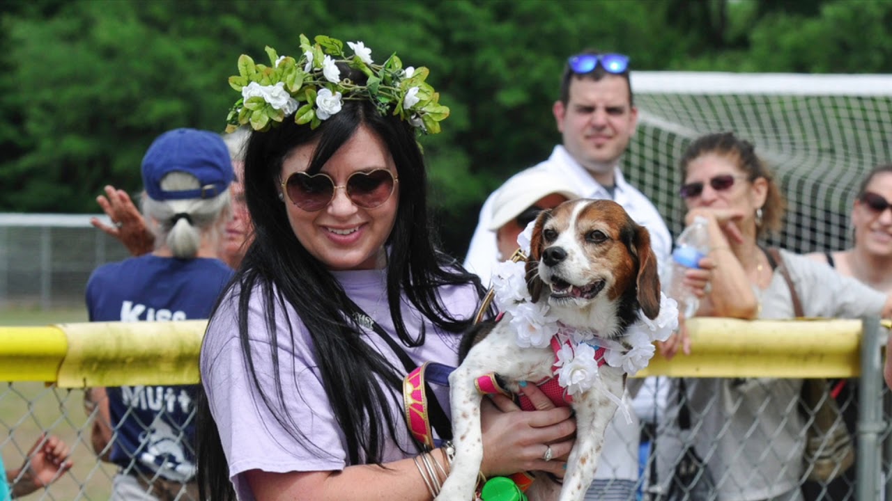 Woofstock Doggie Derby Day 2019 - YouTube
