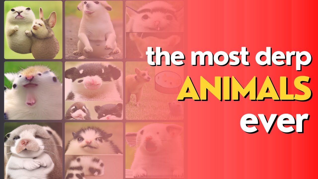 These Animals Are Derping Out All Over The Place! - YouTube