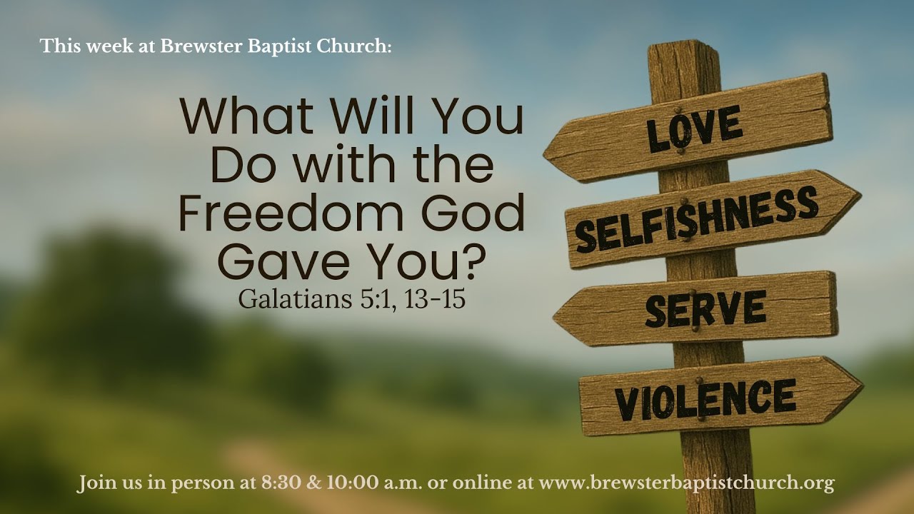 Preview What Will You Do with the Freedom God Gave You - YouTube