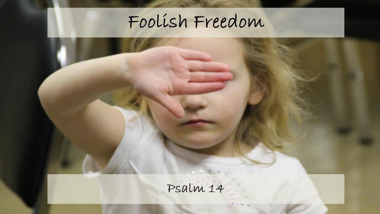 Pinckard Baptist Church Live Stream - YouTube