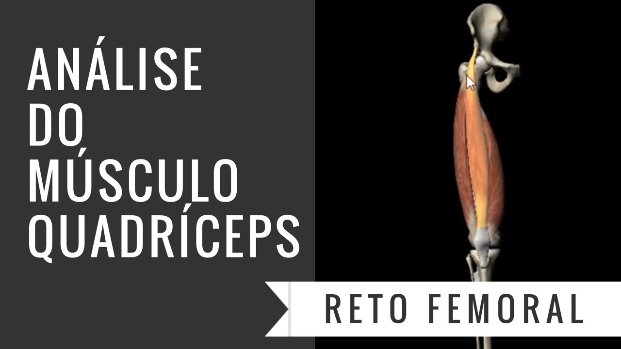 Reto Femoral Origem E Inserção - RETOEDU