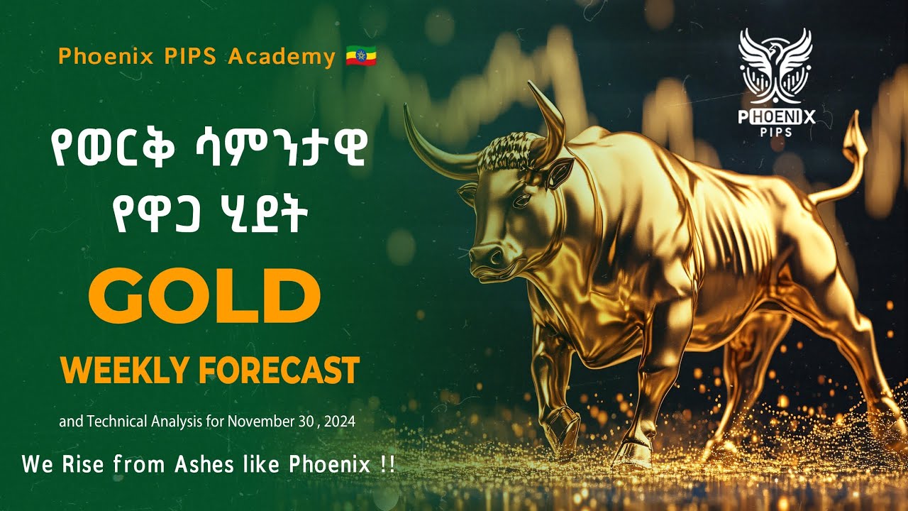 EP03 | የወርቅ ሳምንታዊ የዋጋ ሂደት | Market Breakdown | November 30, 2024 | BY ...