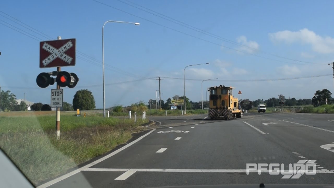 Cane Loco Crossing The Highway [HD] - YouTube