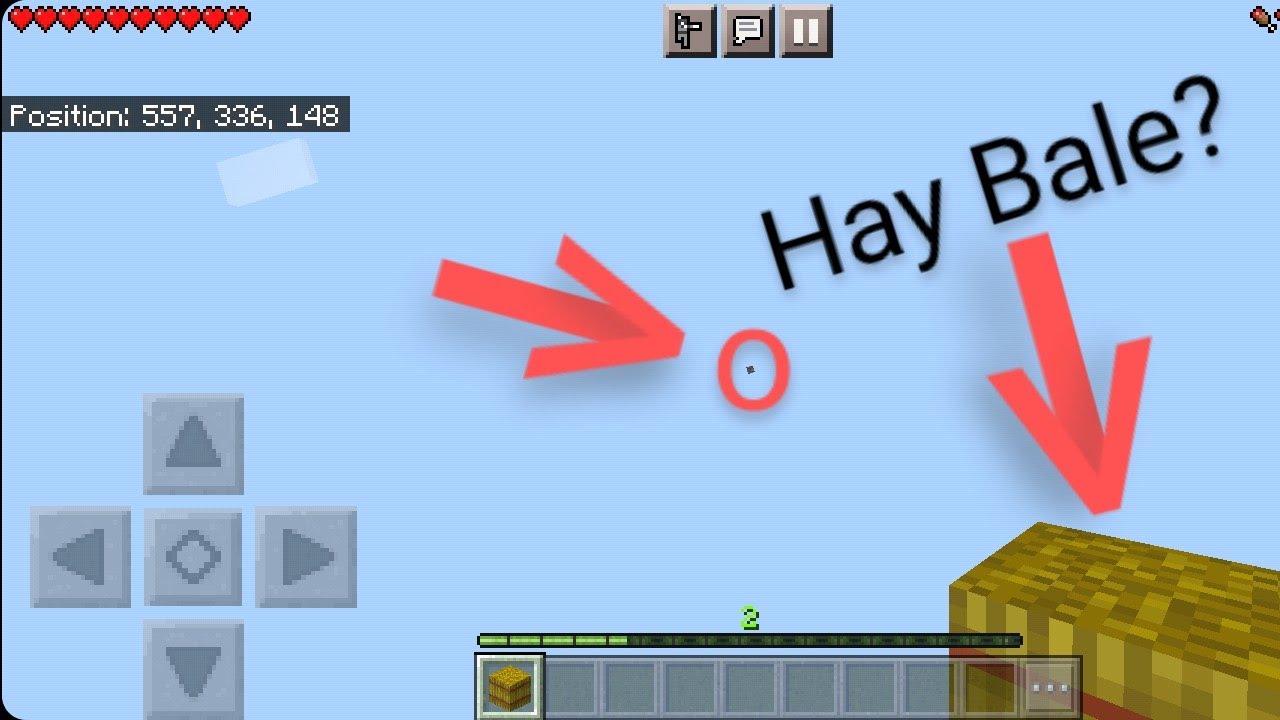 Top 5 MLG Trick Shots! - YouTube