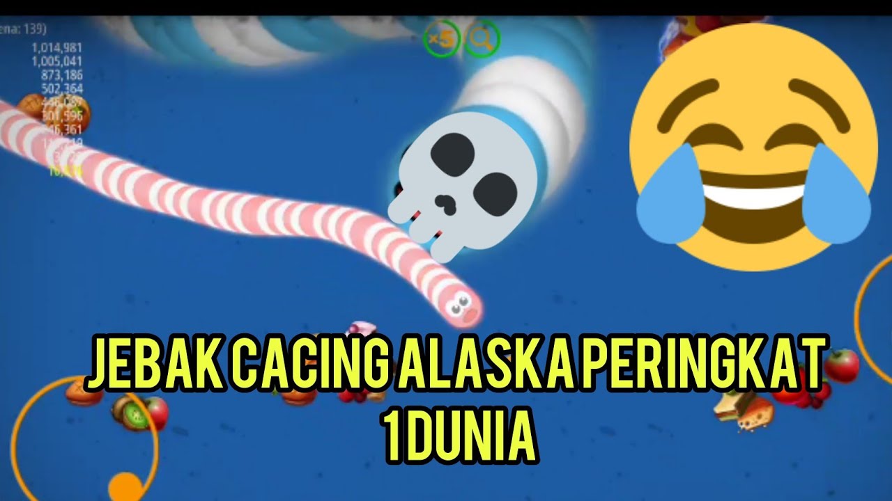 MENJEBAK CACING BESAR ALASKA, DAN AKHIRNYA JUGA, BISA TEMBUS BOBOT ...