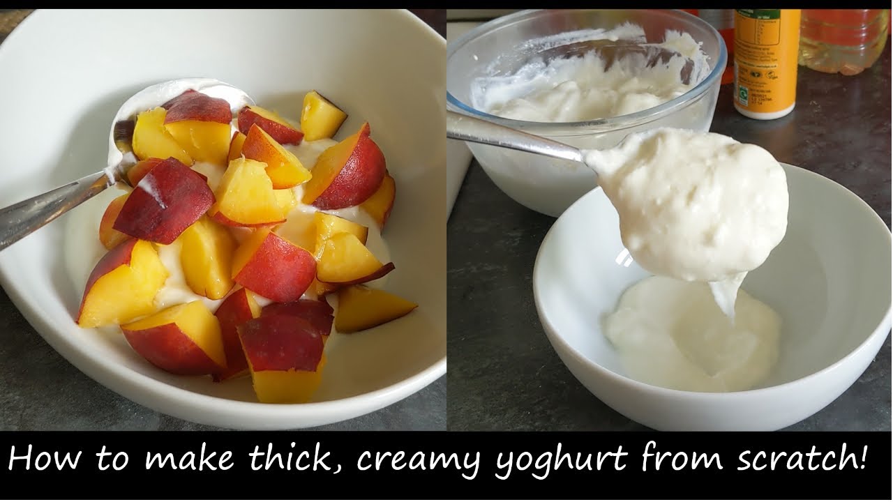 How To Make Thick, Creamy Yoghurt From Scratch! | Turning the Waiting ...