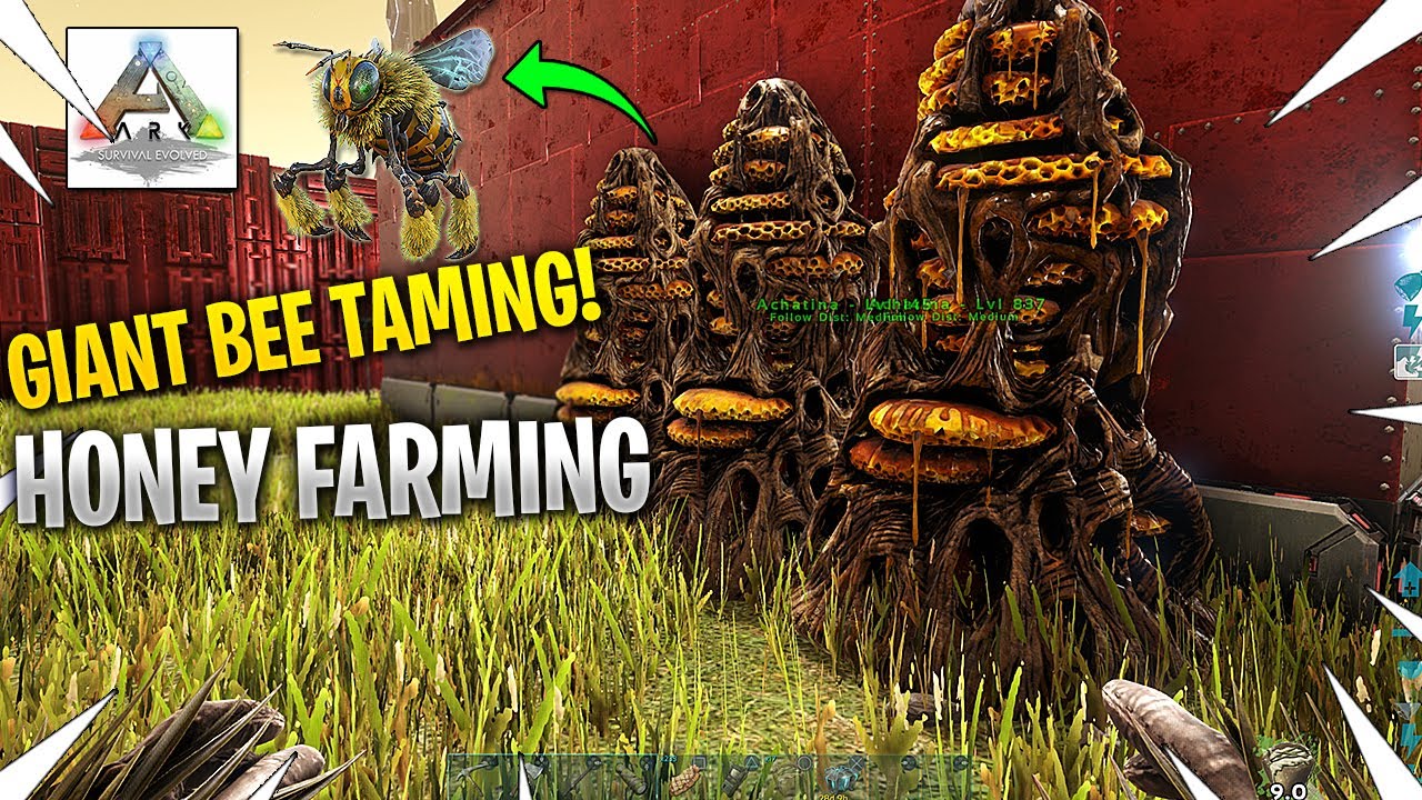 Taming Giant Bees And Starting A Honey Farm! ARK Lost Island - YouTube