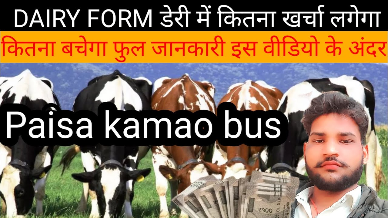 DAIRY FORM आज मिलेगी इस वीडियो में फूल जानकारी डेरी फार्म में कितना ...