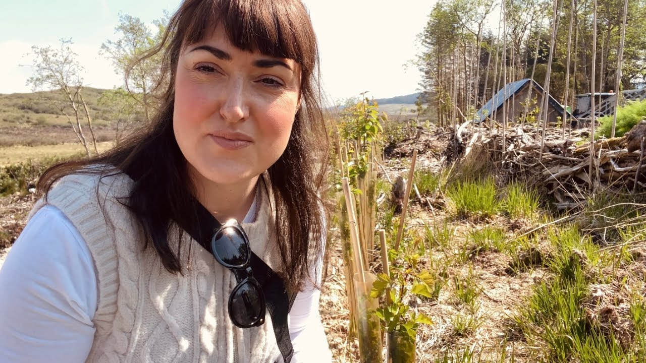 WHY I'VE BEEN GONE | Update on our build project and NO DIG GARDEN #27 - YouTube