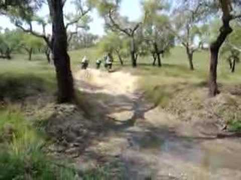 Cegonhas do Sado - Odasse - YouTube