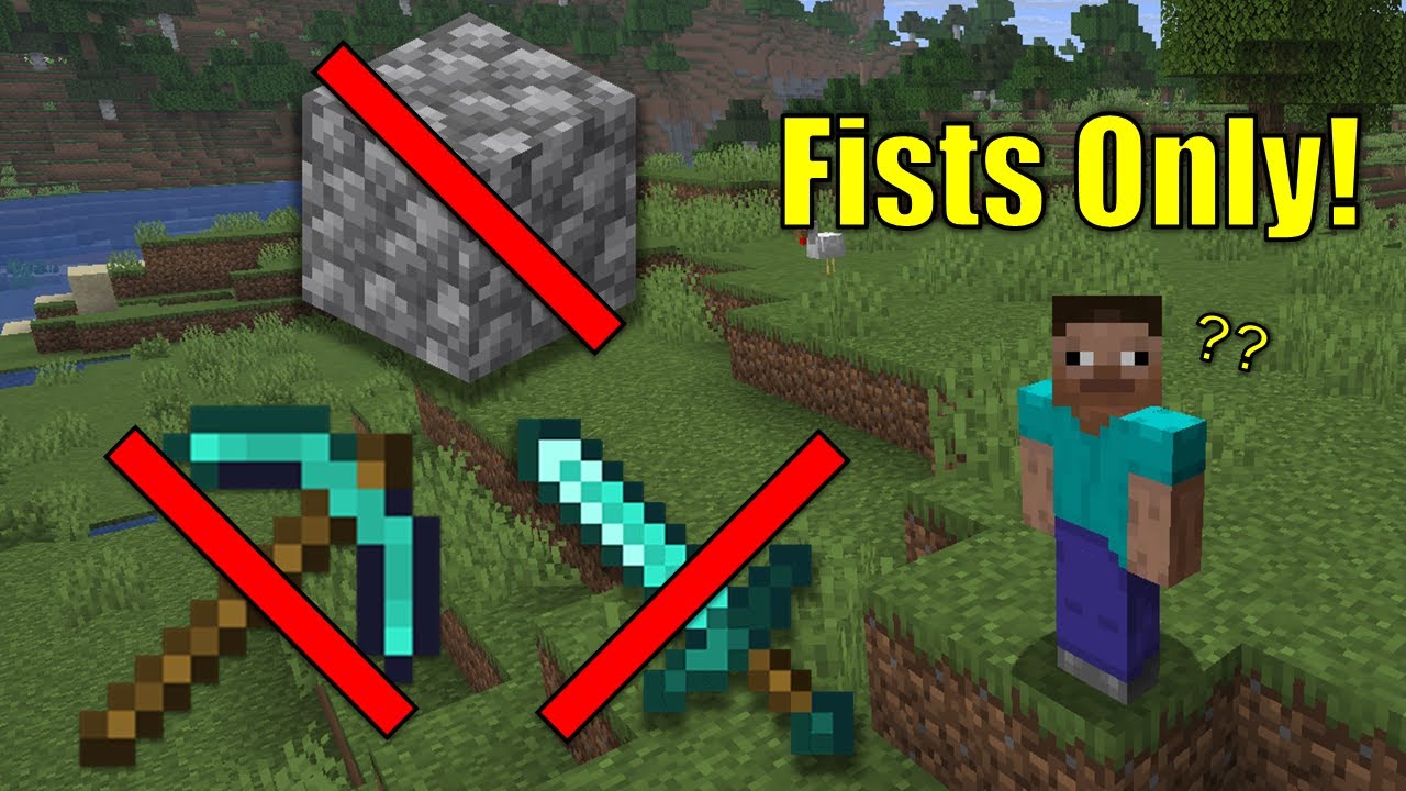 I Beat Minecraft With No Blocks, Tools, Or Armour! - YouTube