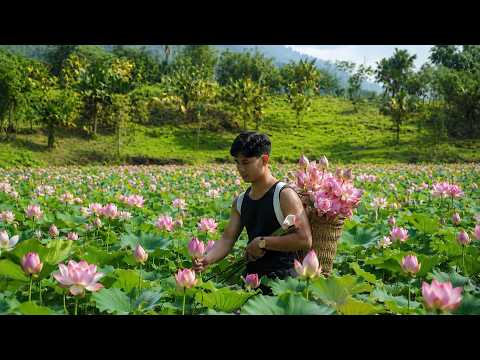 From lotus roots to lotus seeds, every part of the lotus plant has become a traditional food.