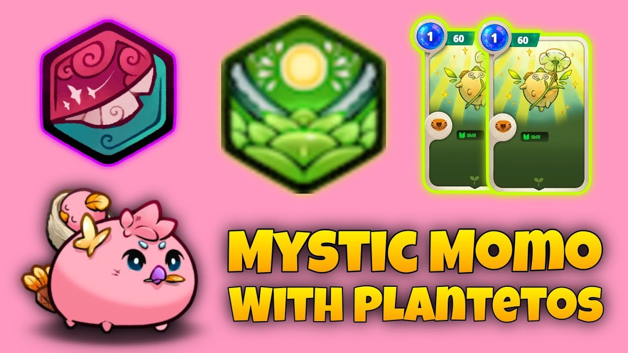MYSTIC MOMO WITH TWO SOLID PLANT SUPPORT'S! | OFF-SEASON TOP RANK ...