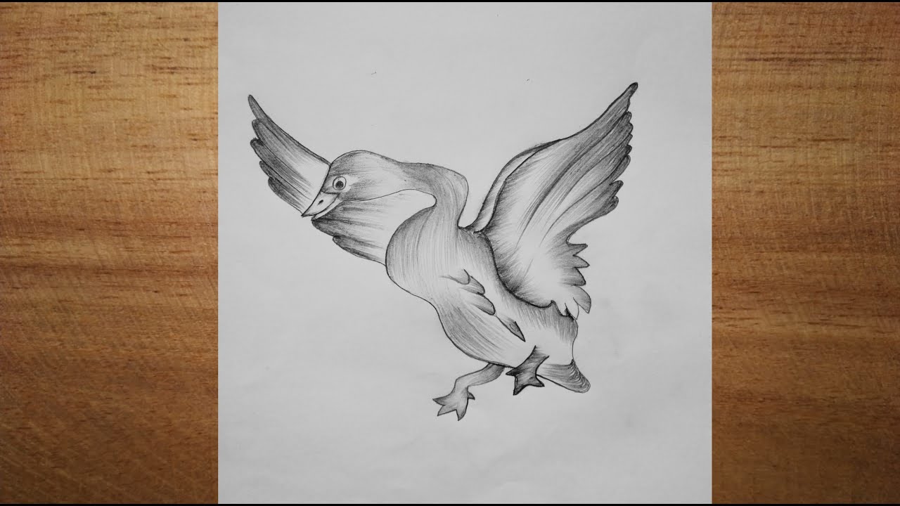 How To Draw A Flying Duck Step By Step || How To Draw Duck || Flying ...