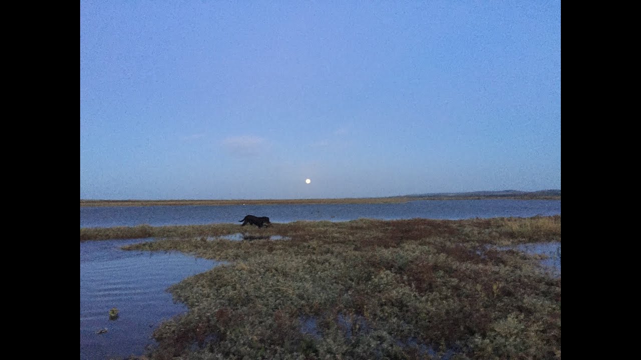 EP 30 - Afternoon Tide Flight - YouTube