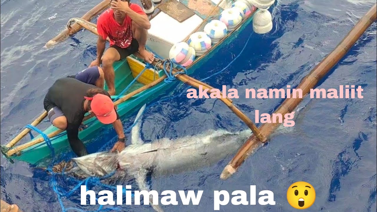 SHOCKING 😲 | MALIIT LANG TINGNAN SA MALAYO SUBRANG LAKI PALA - YouTube