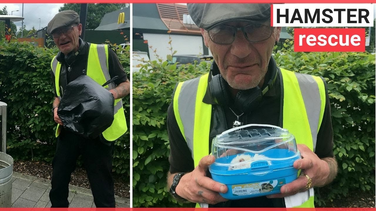 Dustbin man dubbed 'a hero' after saving hamster tossed in bin to die ...