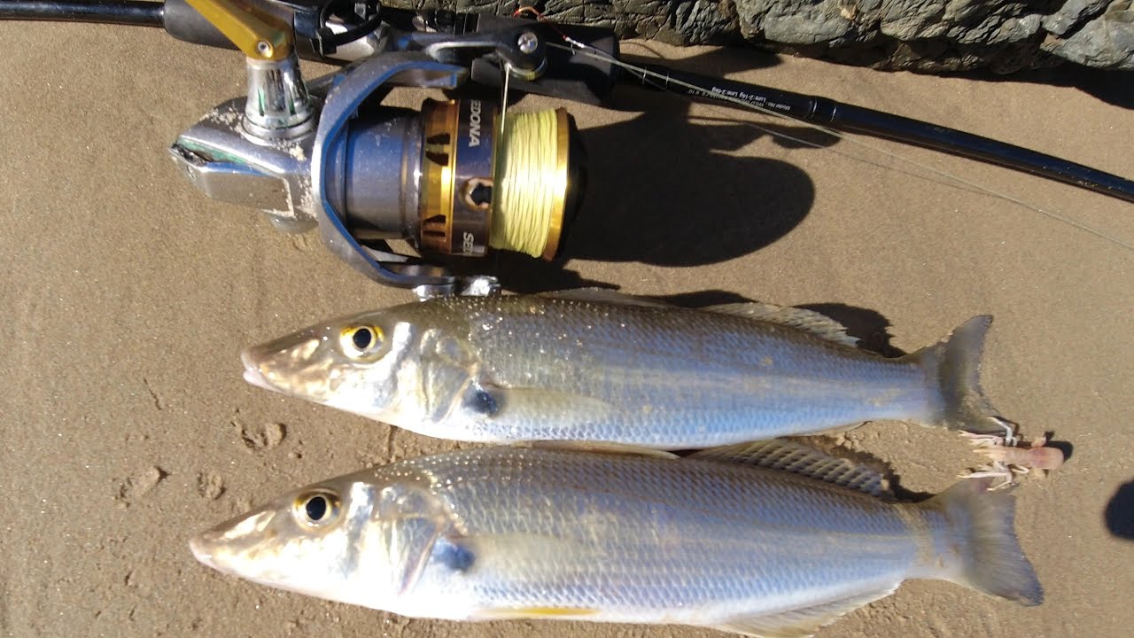 WINTER BEACH FISHING: WHITING FISHING BACK TO BASICS!! - YouTube