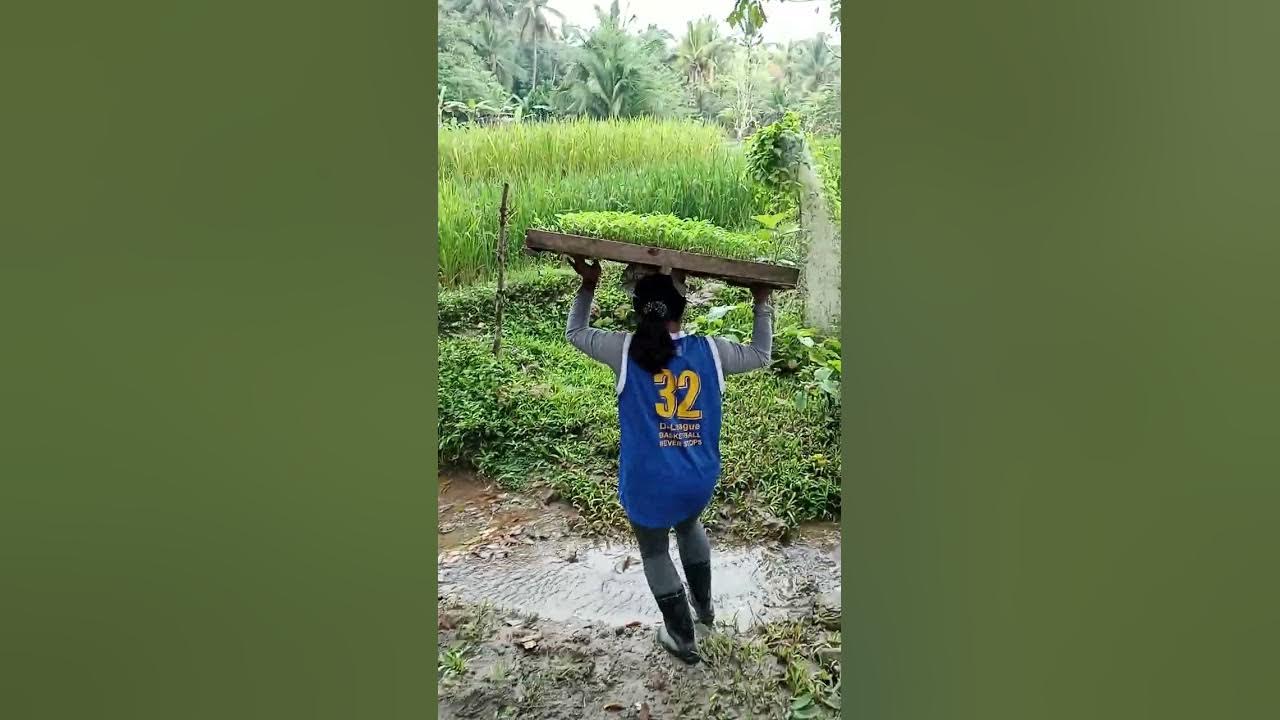 FARMERS RIZZ #farm #farmer #rizz #girl #bukidfeels #bukidlife #trending #video #viral - YouTube