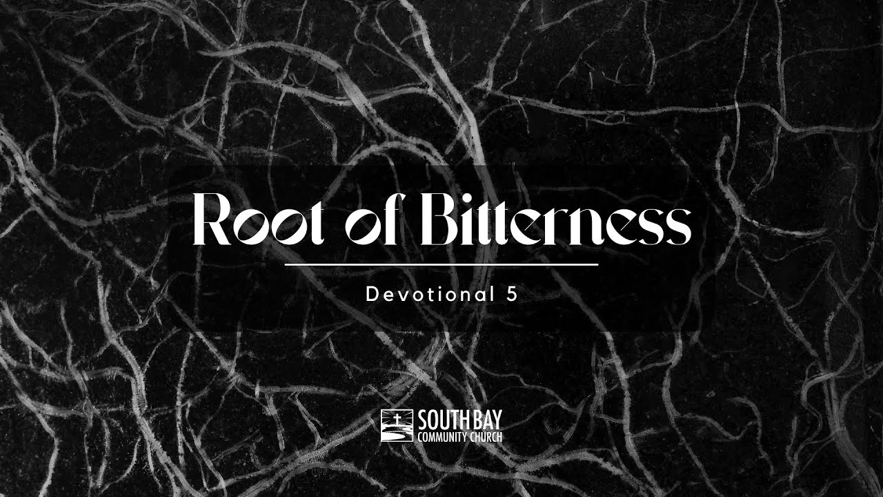 Root of Bitterness - Devotional 5 - YouTube