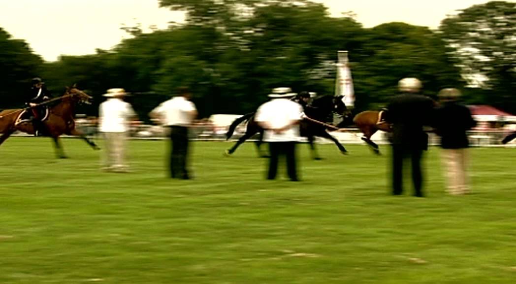 Light Cavalry Sword & Lance Charge - YouTube