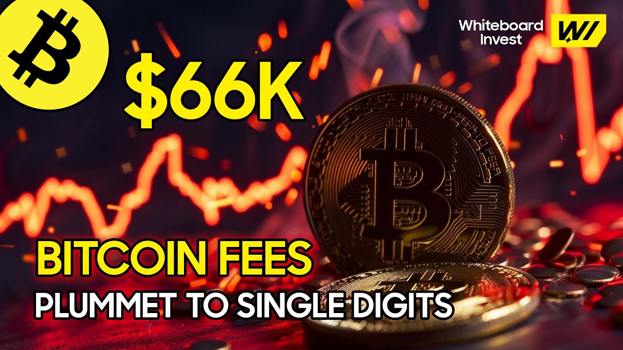 Bitcoin News: BITCOIN FEES Plummet to Single Digits After Record High ...
