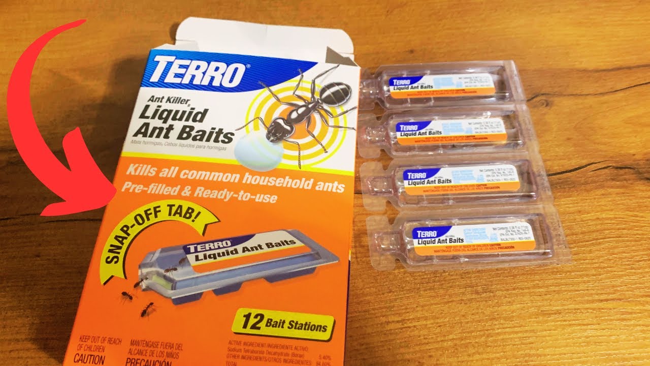 How to Use Terro Liquid Ant Baits And Why They Work So Well - YouTube