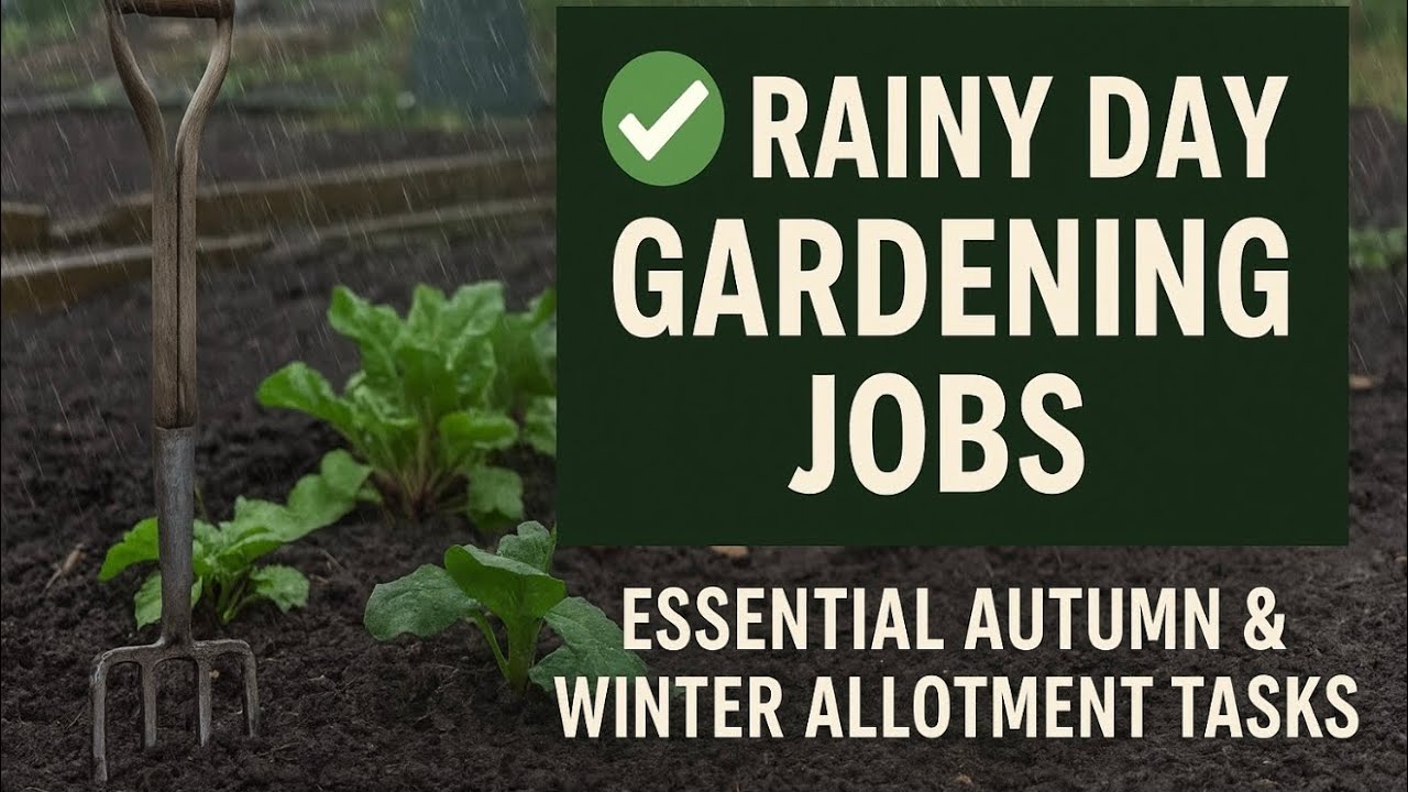 🎥 🌱 Rainy Day Gardening Jobs 🌧️ | Essential Autumn & Winter Allotment ...