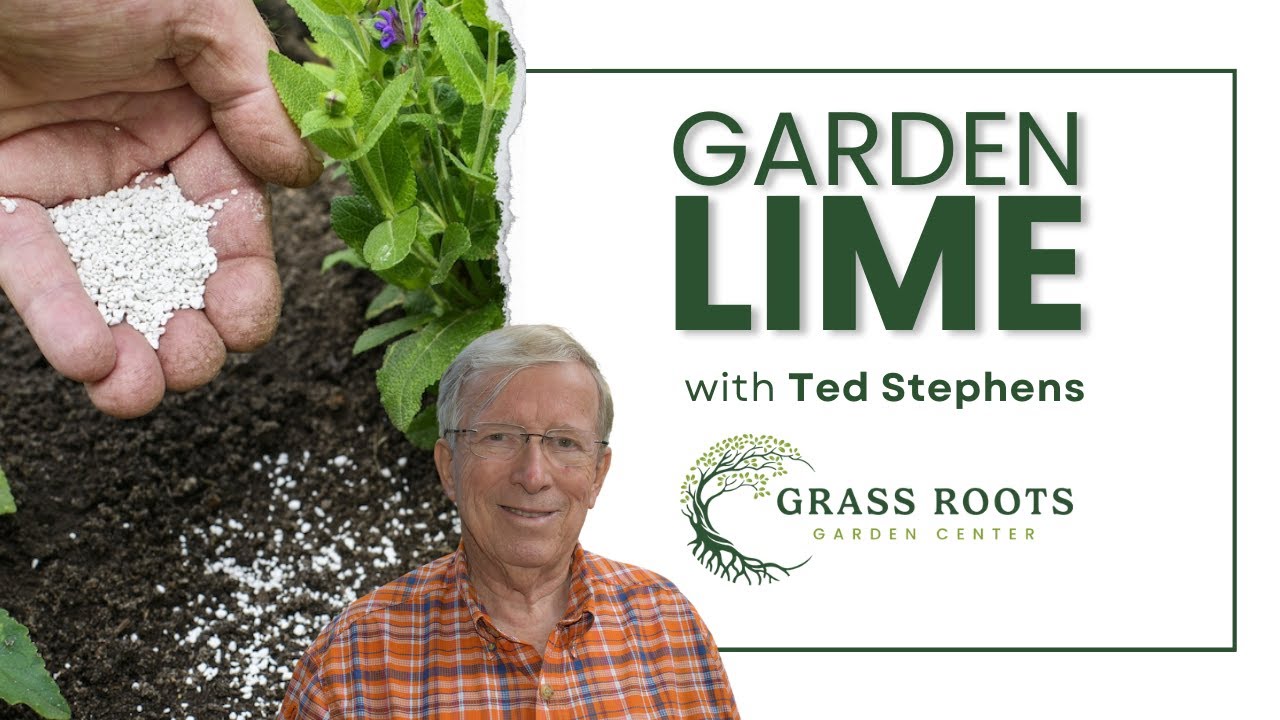 Transform Your Garden with Lime: Expert Tips & Techniques - YouTube