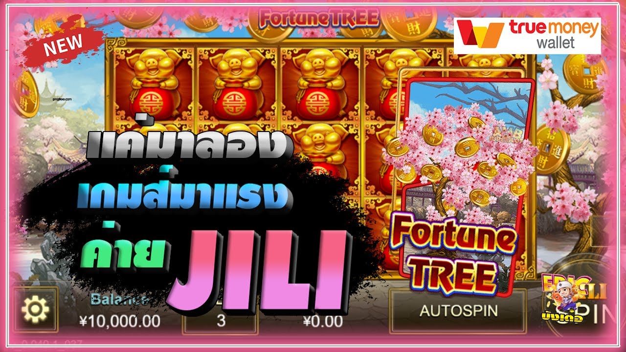 JILI slot JILI fortune tree ฟอจูน ทรี สล็อต JILI ลองเกมส์ค่ายใหม่มาเร็ว ...