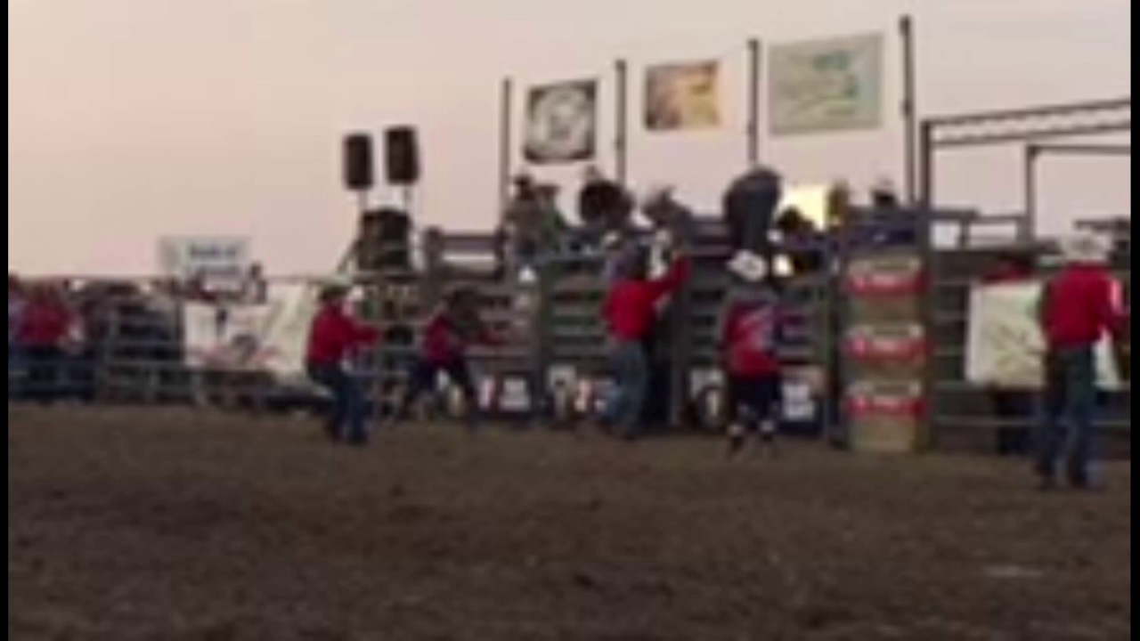 Backyard Swagger - YouTube