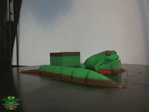 Tree Frog and Slug - Slic3r Prusa Edition - YouTube