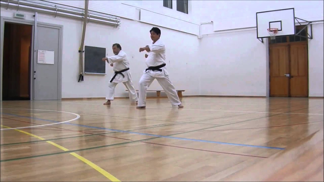 Karaté do Gojuryu Genève Travail de déplacement 14 02 2014 - YouTube