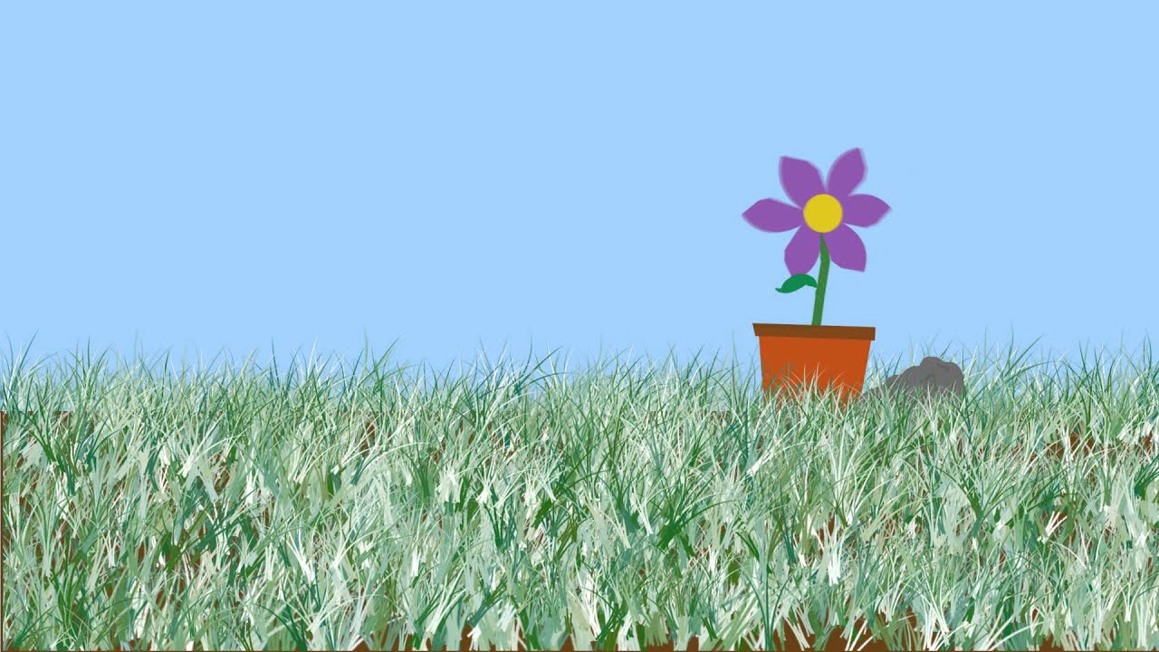 Flowerpot Animation - YouTube