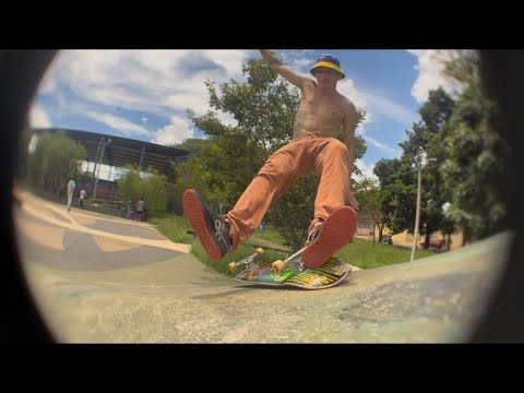 DOMINGO ENSOLARADO / BNZ LIFE #2 - YouTube