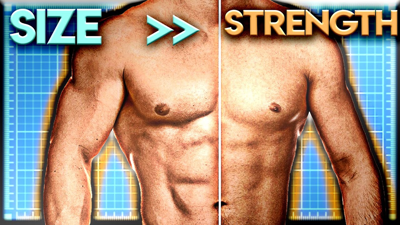 Bigger Muscles Equals MORE HYPERTROPHY! Size over Strength! - YouTube